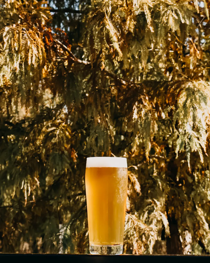 Texas Heritage | Talyard Brewing Co