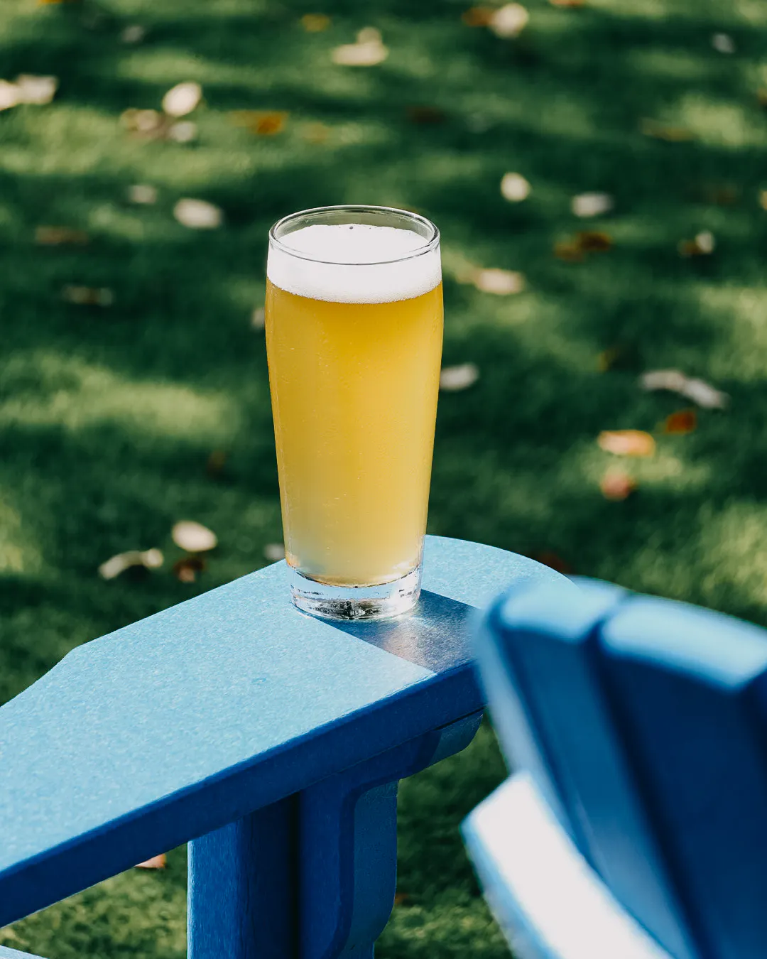 Bulls on Parade | Talyard Brewing Co
