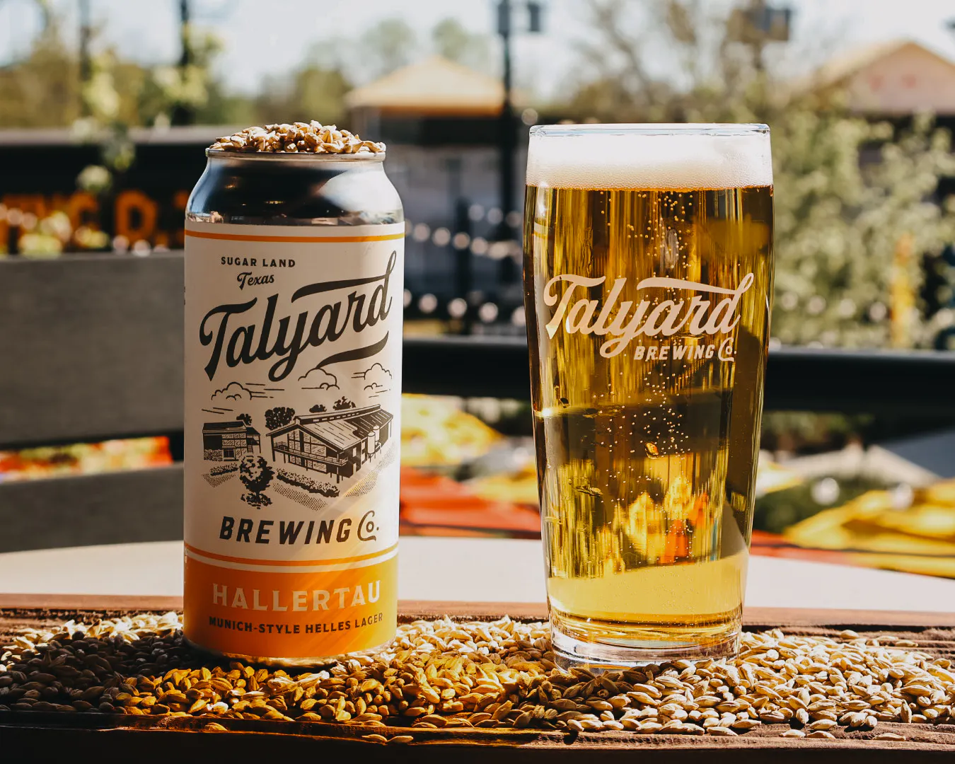 Hallertau | Talyard Brewing Co