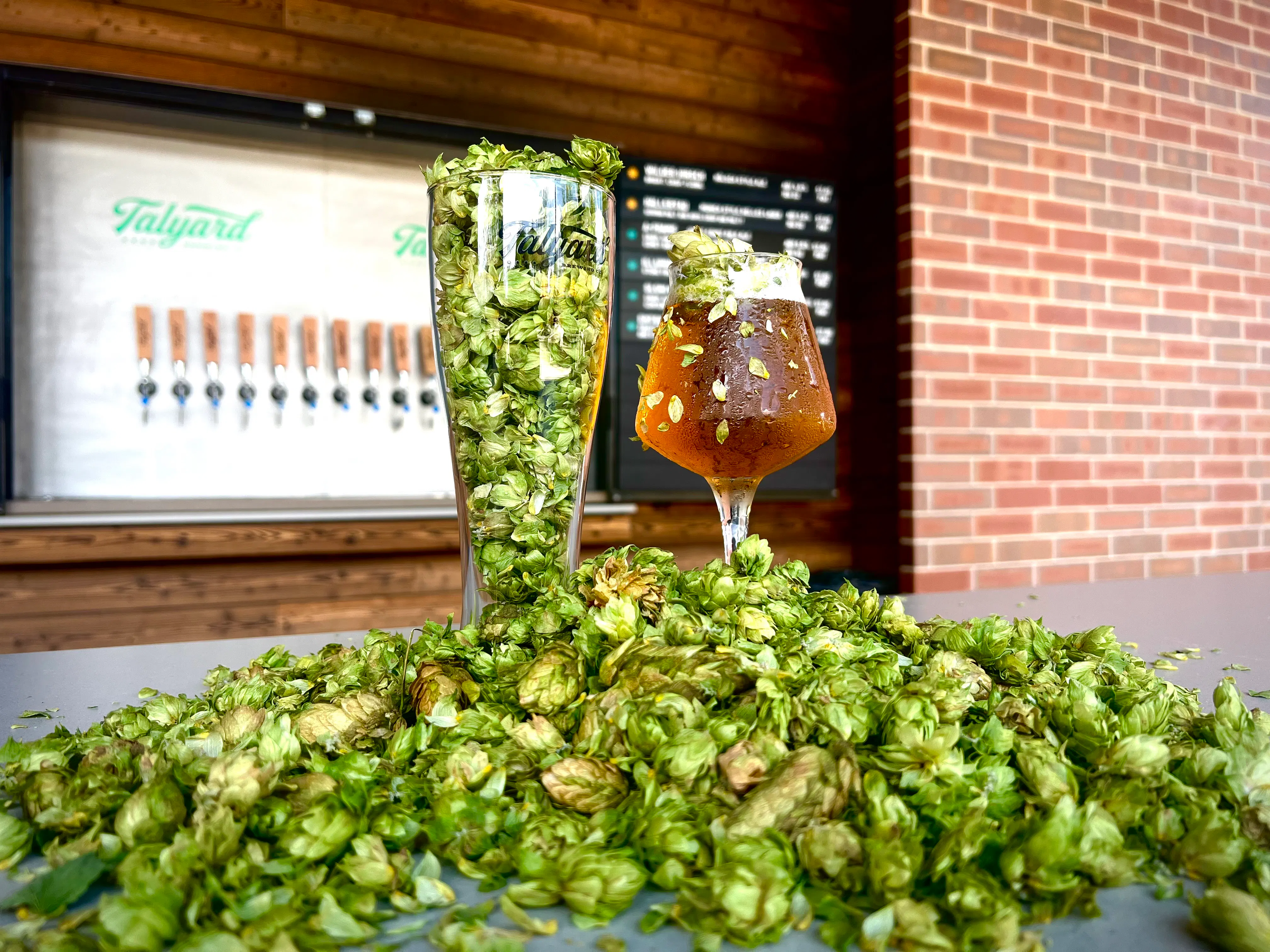 Beers | Talyard Brewing Co