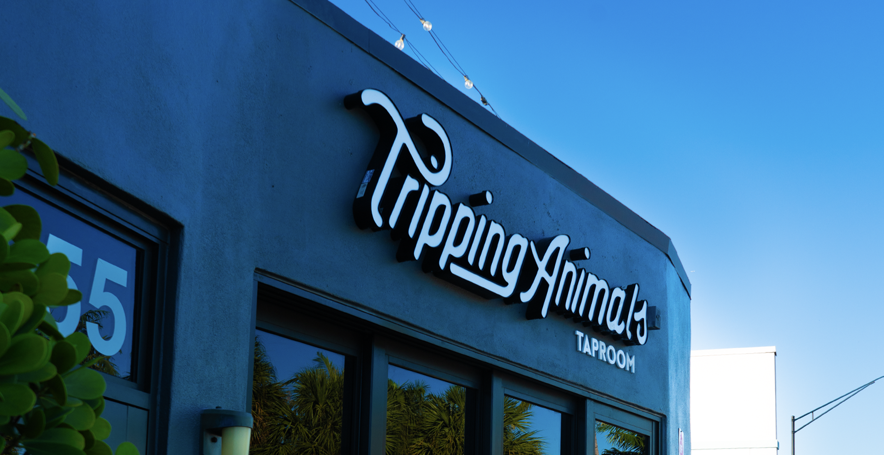 Tripping Animals Brewing | Craft Beer | Doral