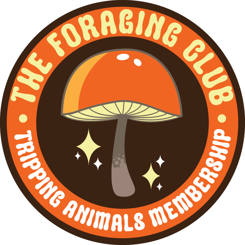 Foraging Club | Tripping Animals