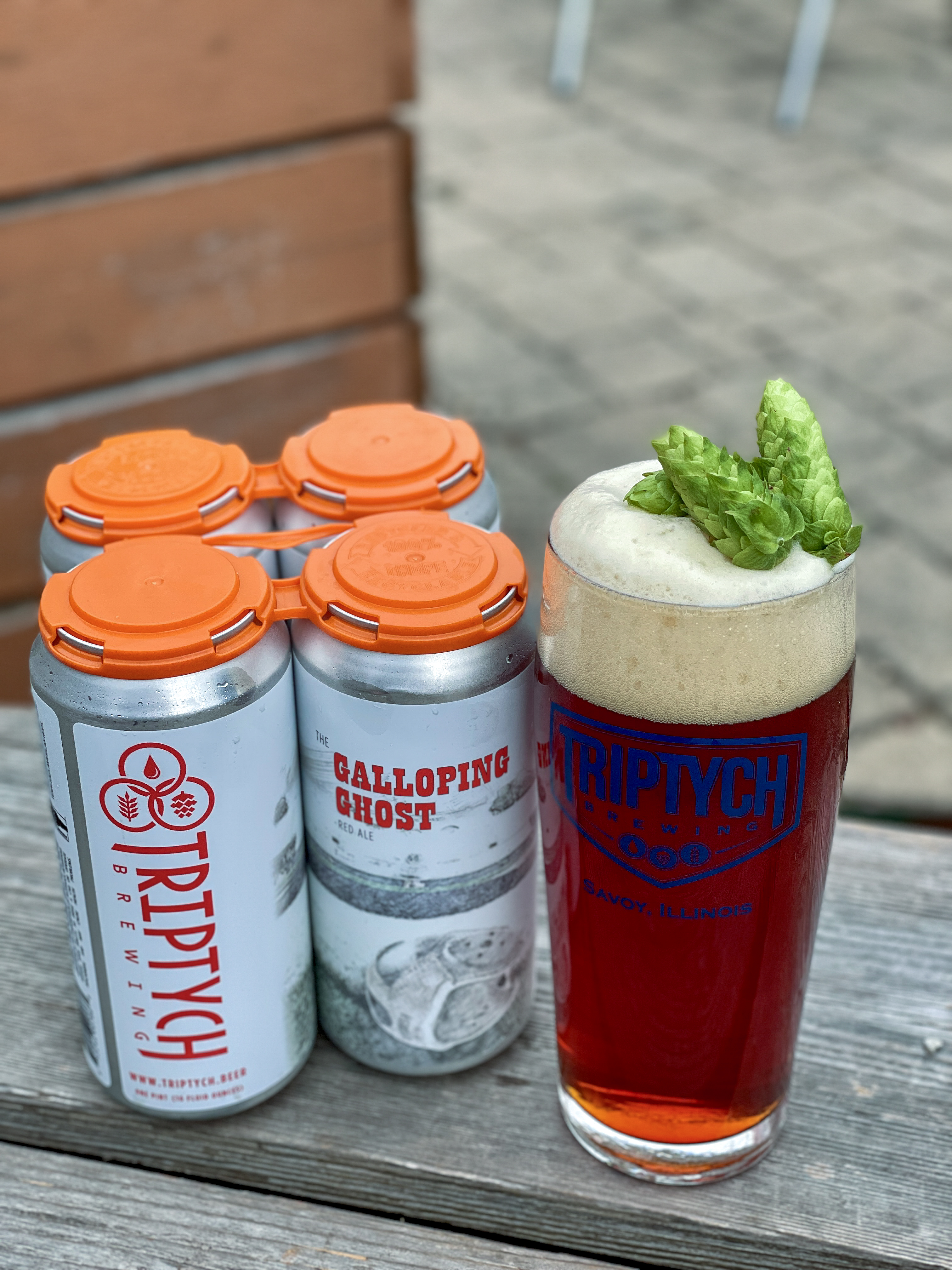 Galloping Ghost | Triptych Brewing