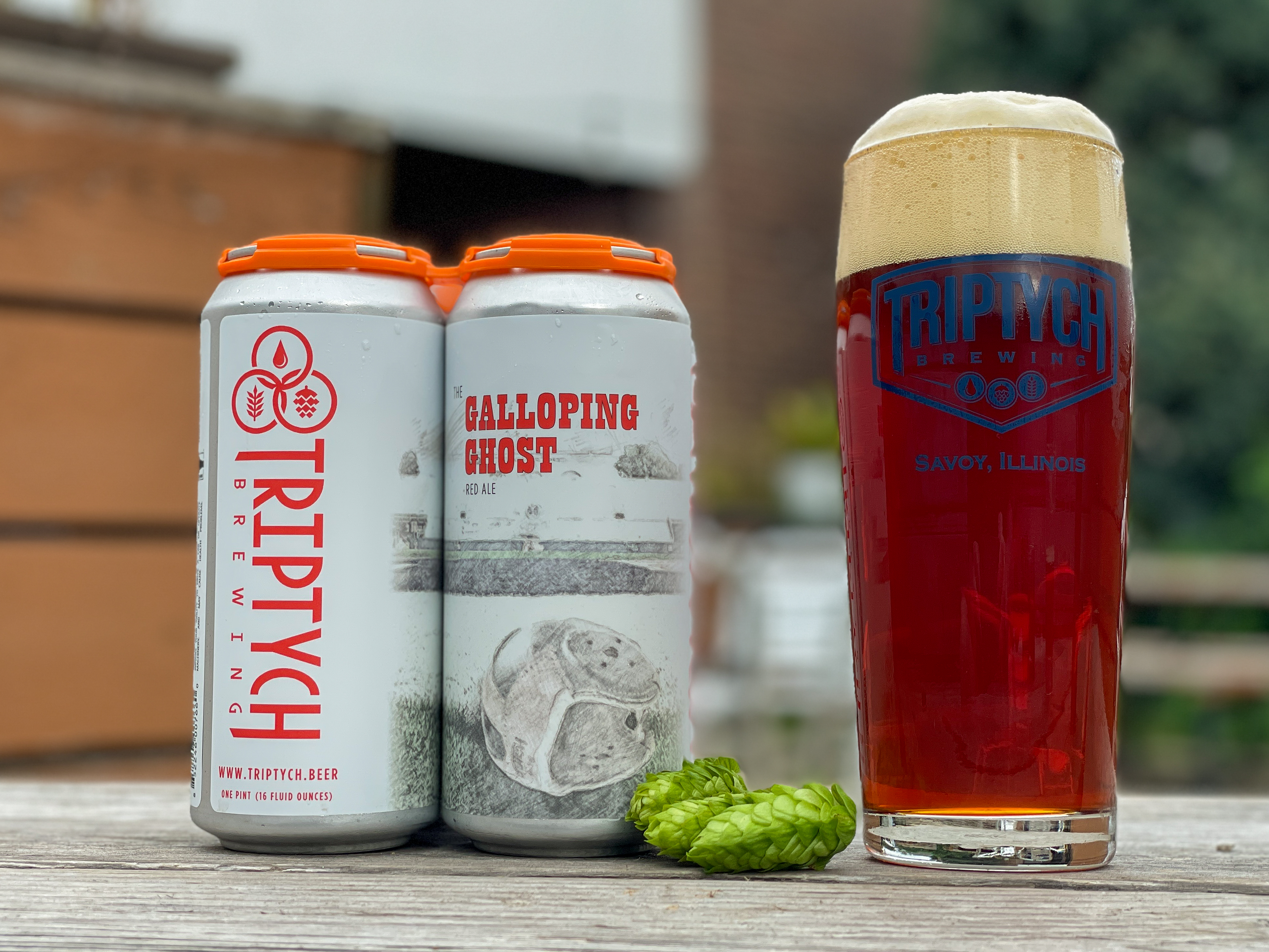 Galloping Ghost | Triptych Brewing