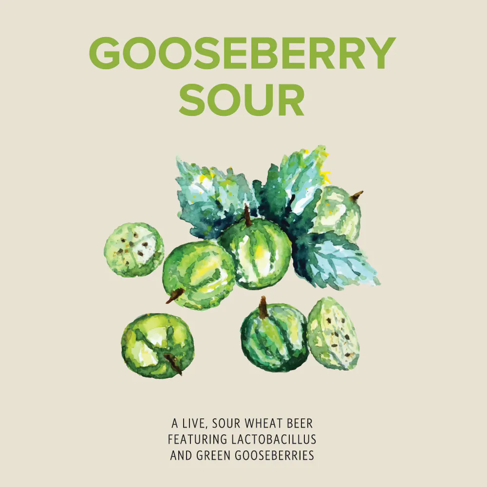 Gooseberry Sour | Triptych Brewing