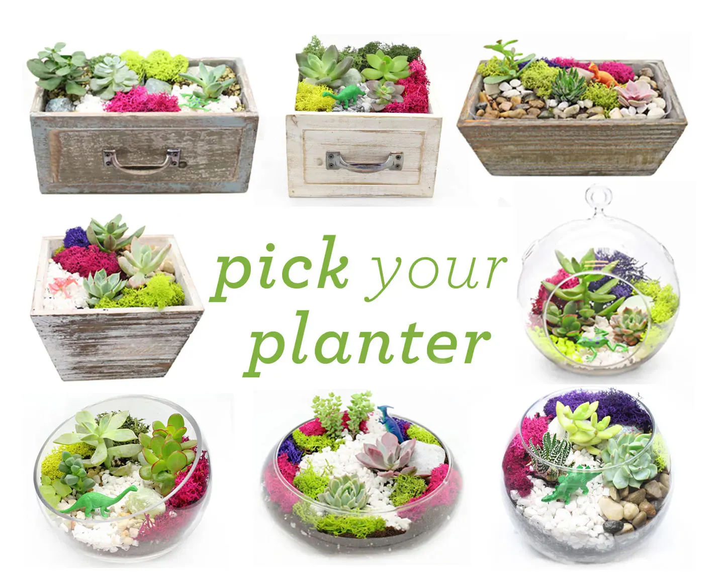 Plant Nite: Pick Your Planter | Utah Beers