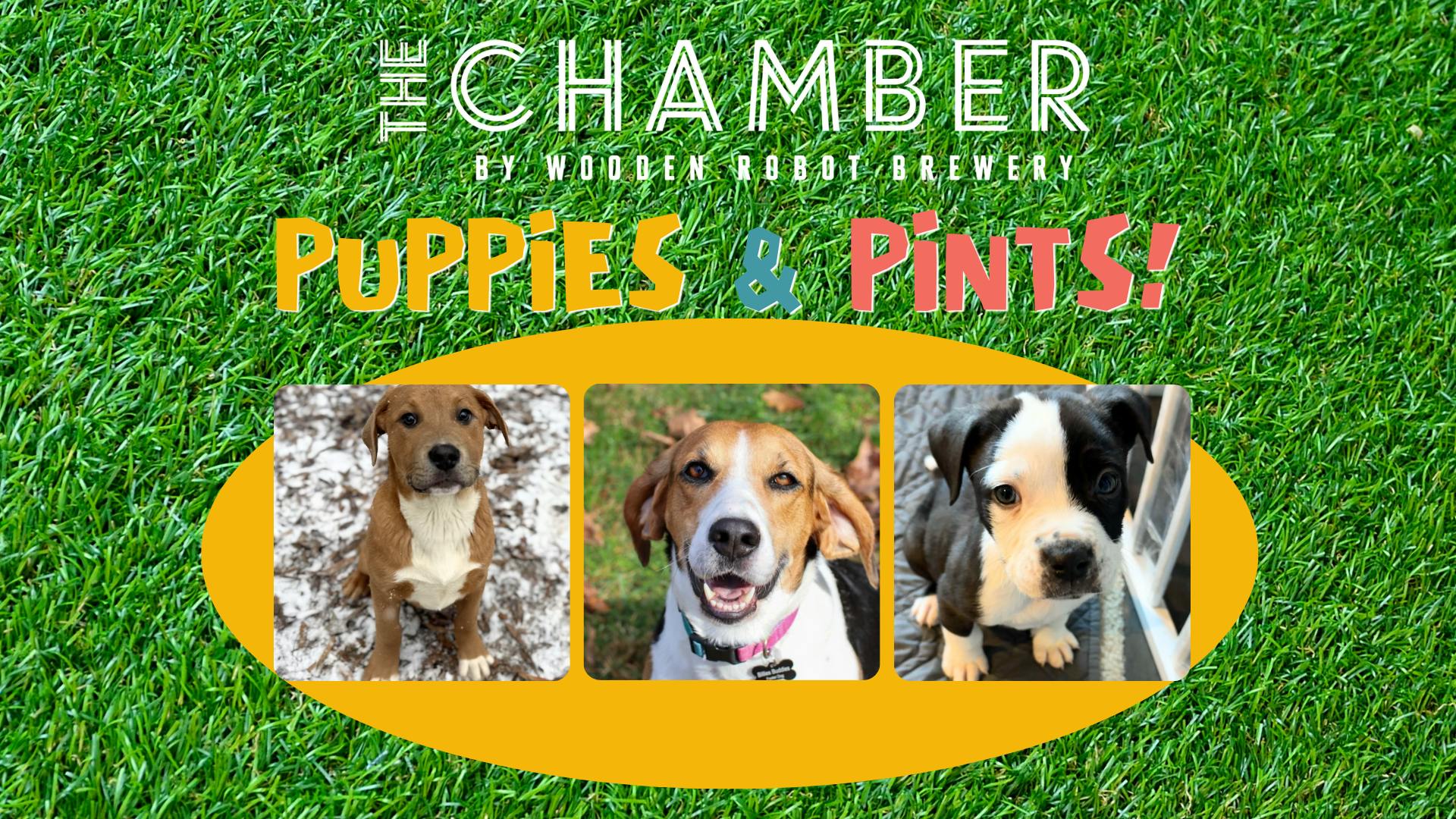 Puppies & Pints Pregame | Wooden Robot Brewery